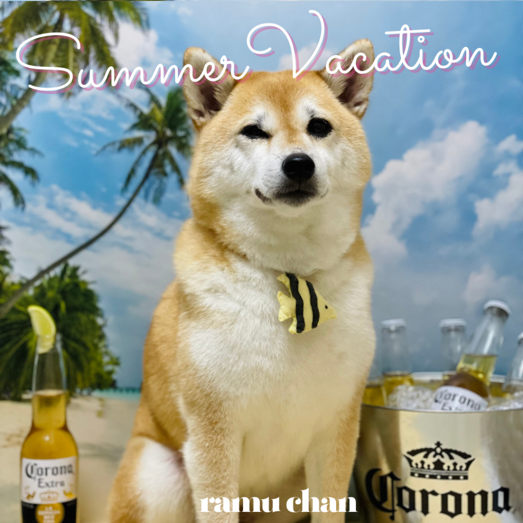 らむちゃん | 宮代町ドッグサロン dogsalon cocoro ｜埼玉県南埼玉郡