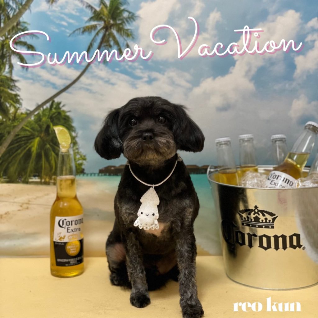 レオくん | 宮代町ドッグサロン dogsalon cocoro ｜埼玉県南埼玉郡