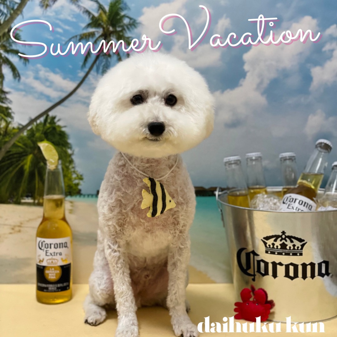 南埼玉郡宮代町のドッグサロン cocoro